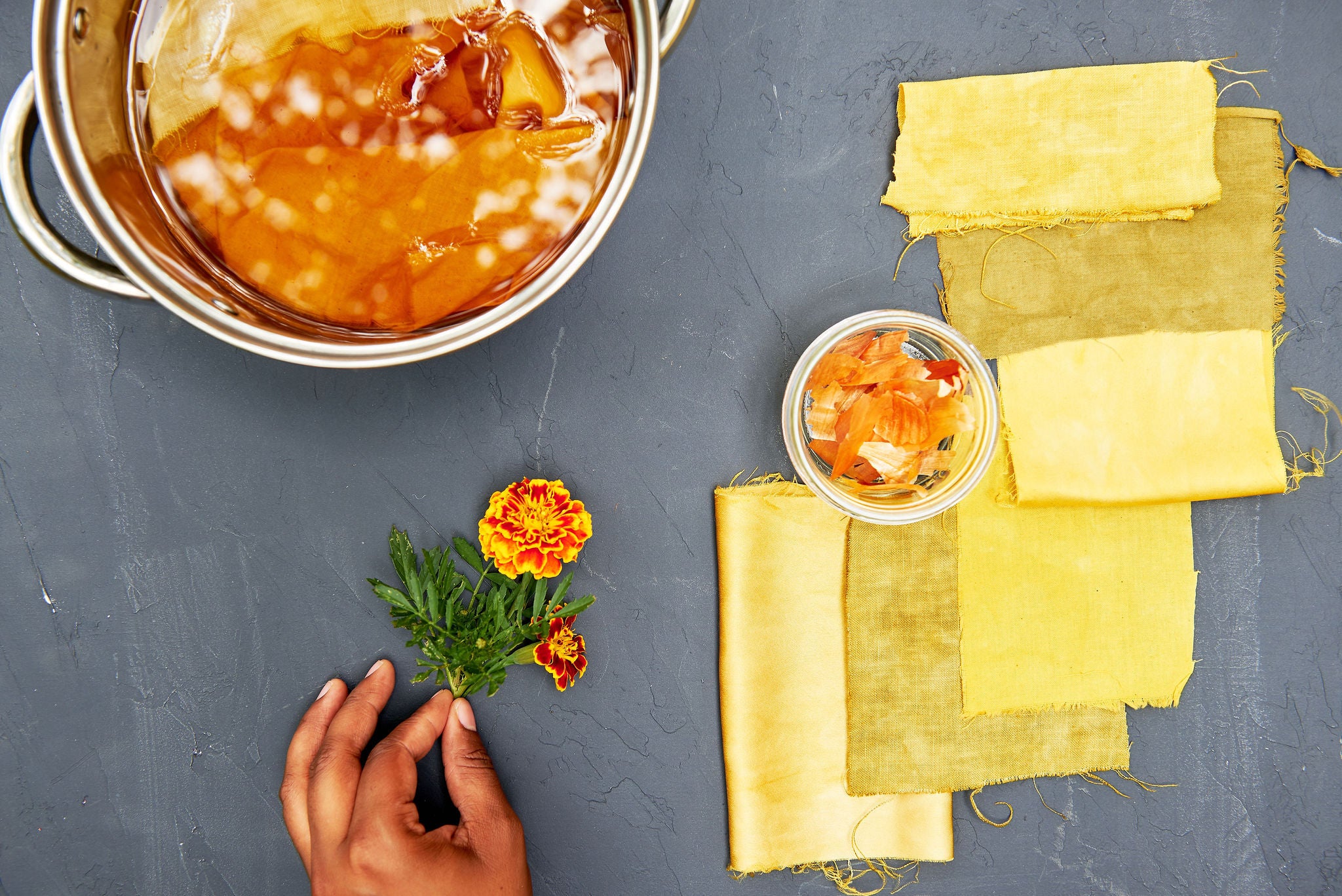 marigold – Modest Transitions